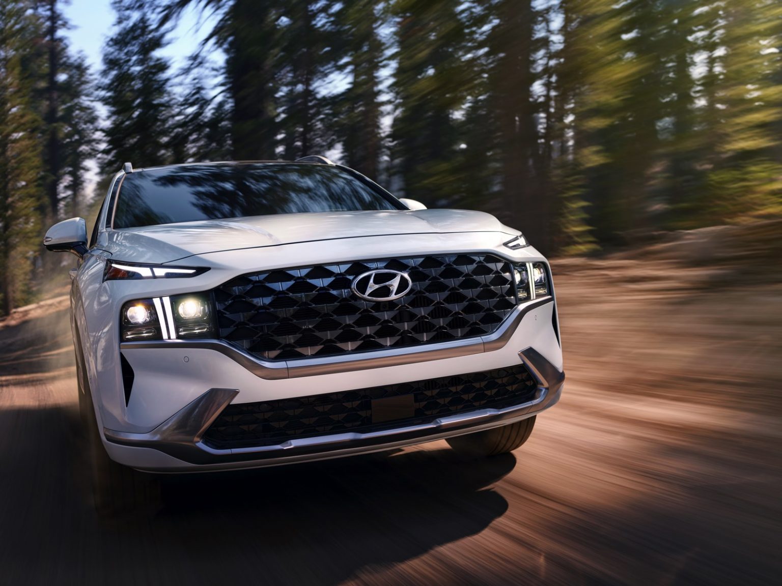 Hyundai’s Santa Fe Calligraphy – The Writing’s On The Wall | txGarage